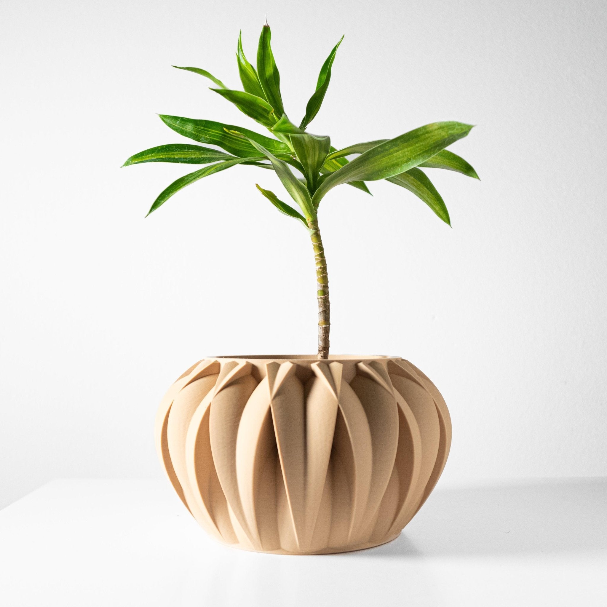 The "Halden" Planter - Modern Indoor Plant Pot and Container – WG ...