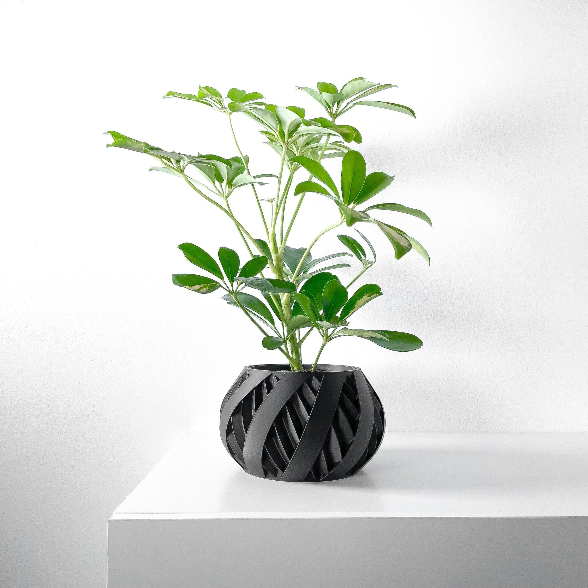 The "Silvo" Planter - Modern Indoor Plant Pot and Containe – WG ...